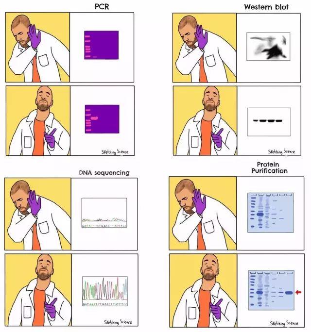 科研人 科研魂 科研就是人上人【下】